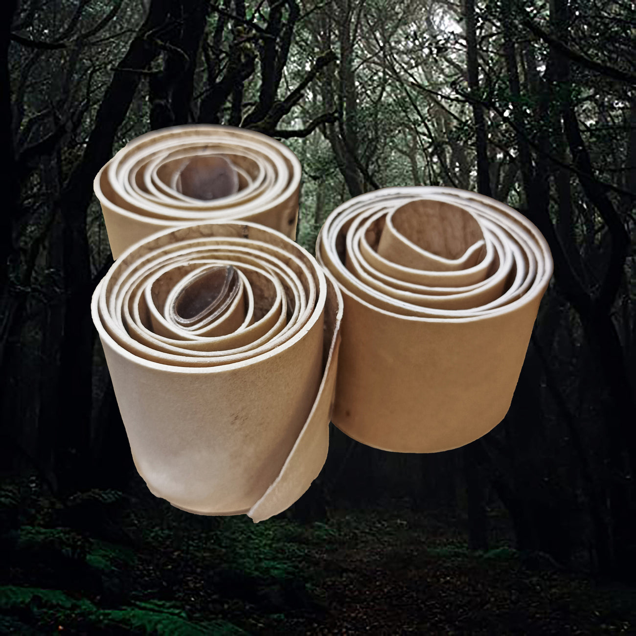 Rawhide Strips For Viking Renactment Shield Edging - Viking Crafts