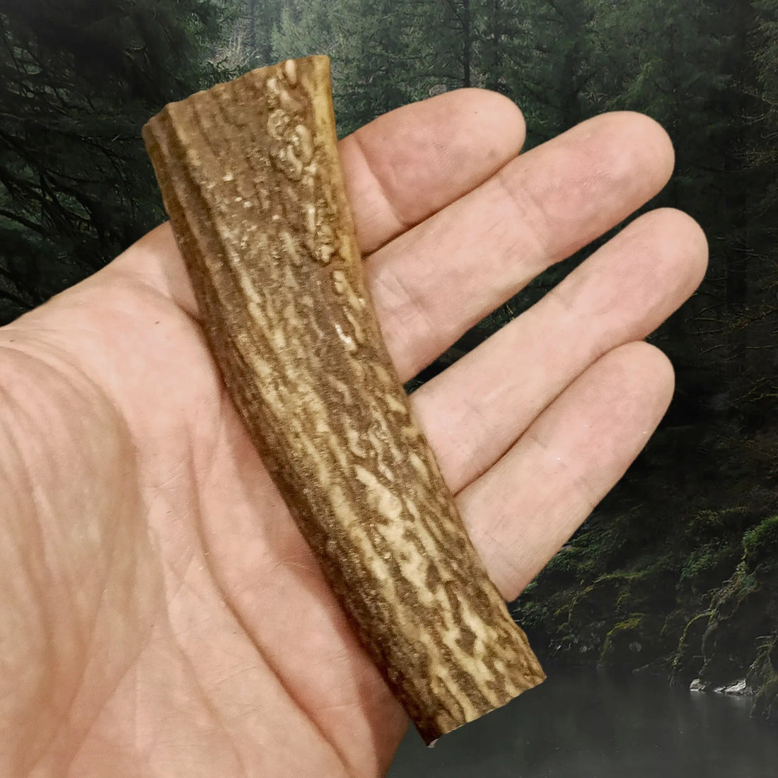 Handmade Viking Antler Accessories | Viking Dragon