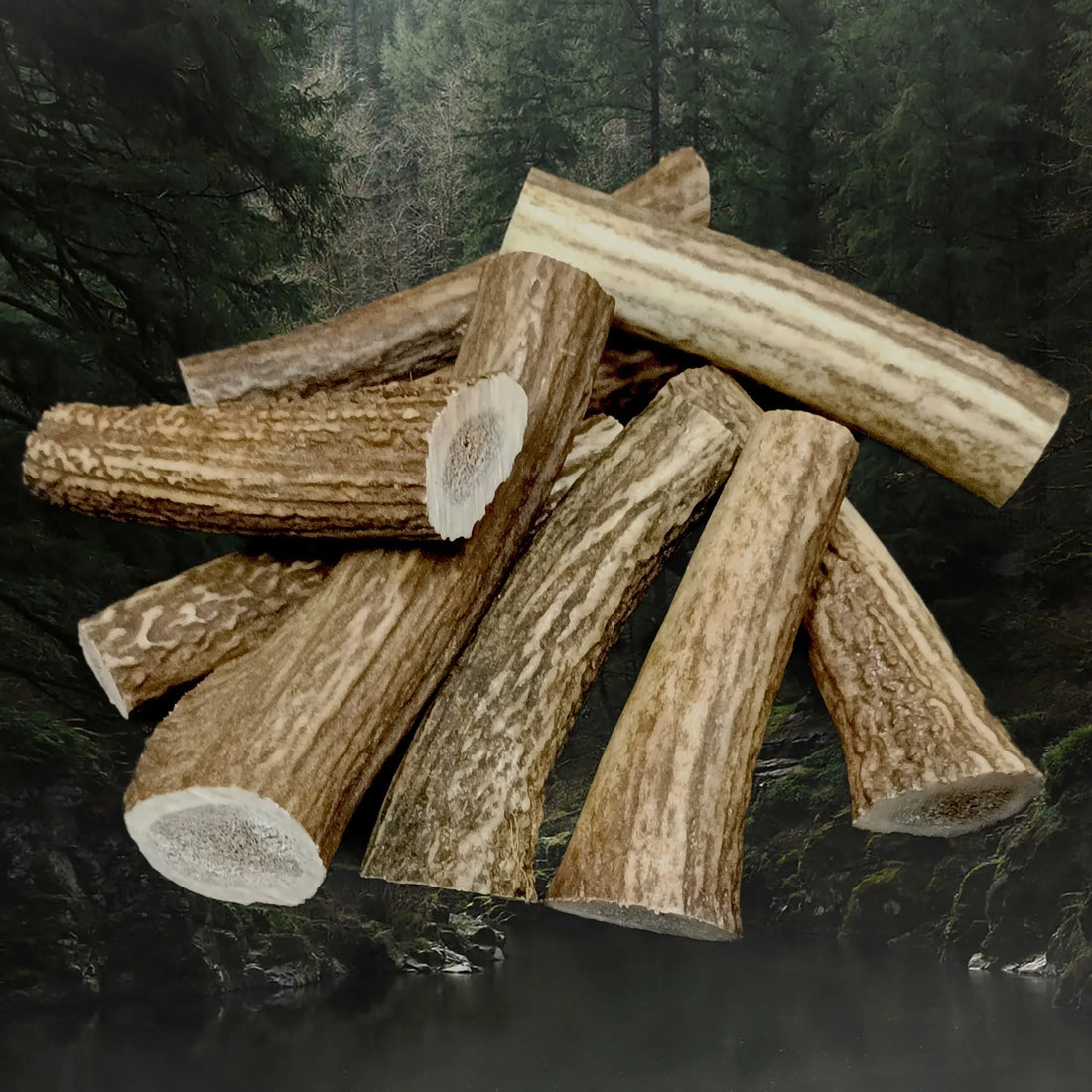 Handmade Viking Antler Accessories | Viking Dragon