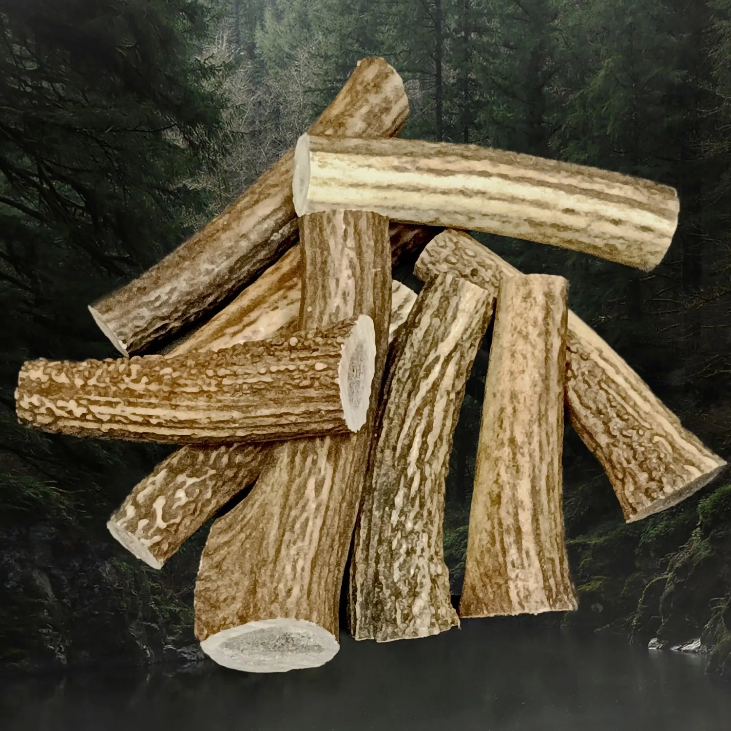 Scottish Stag Antler Rolls