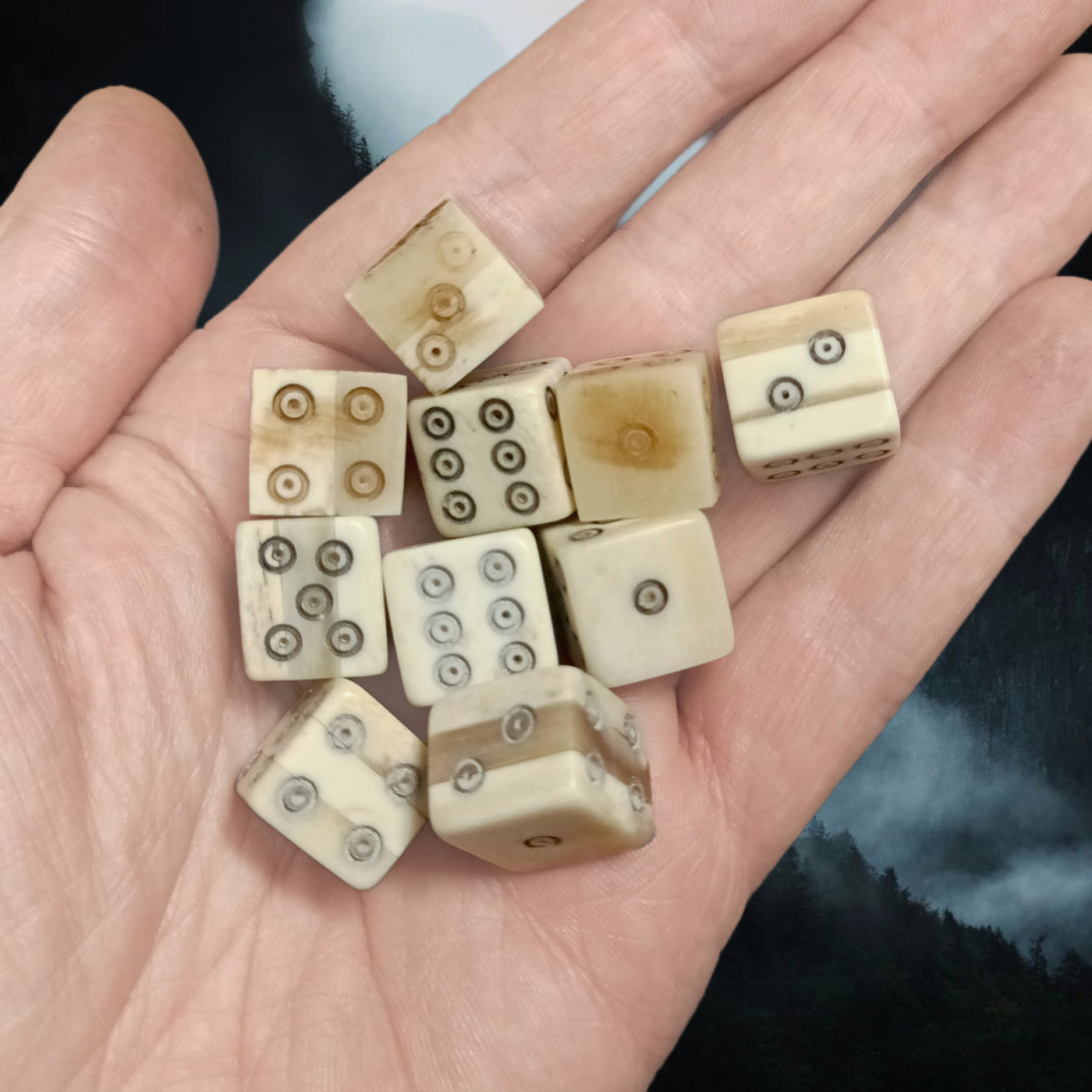 Large Bone Dice With Dot & Rings Marks for Viking Dice Games