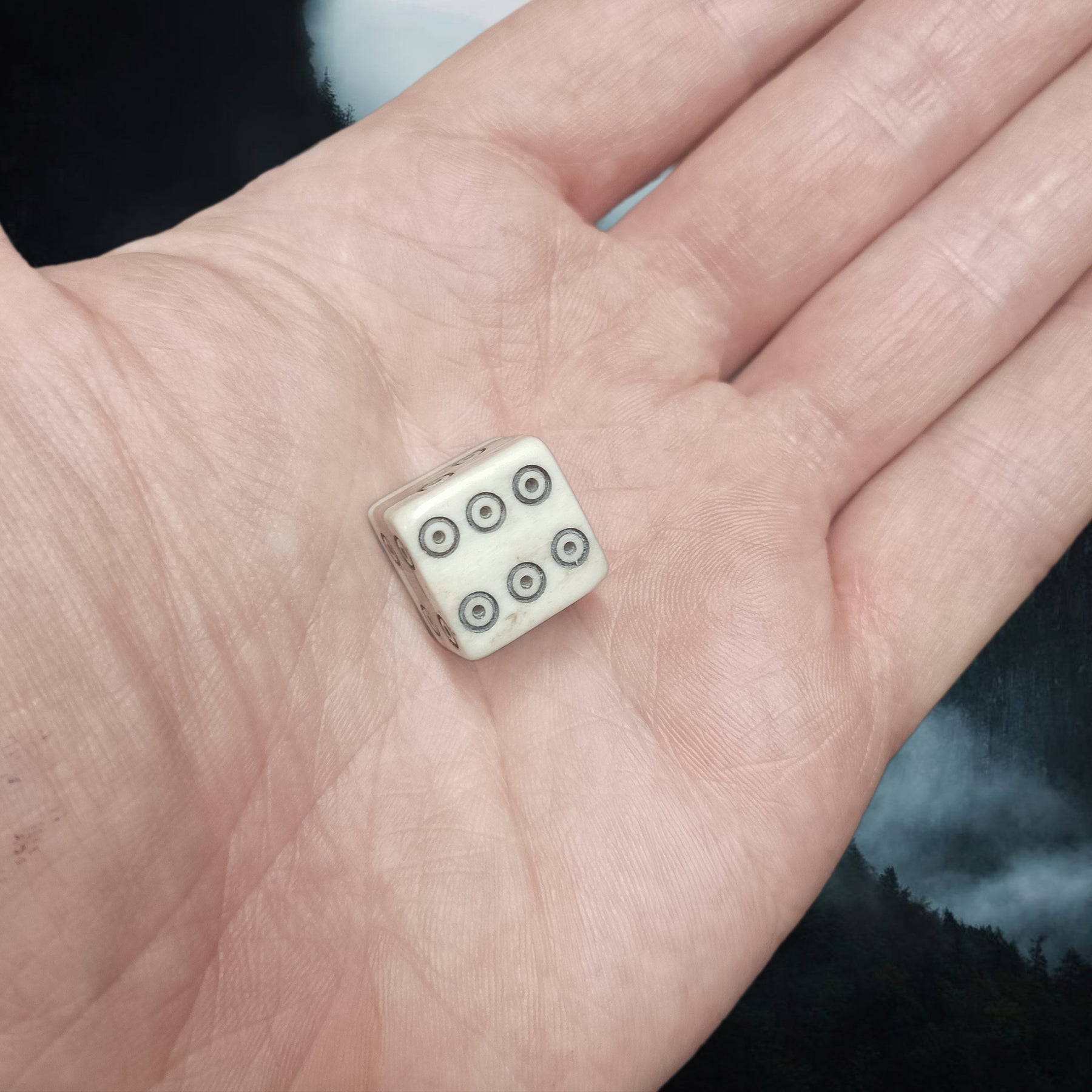 Large Bone Dice With Dot & Rings Marks for Viking Dice Games