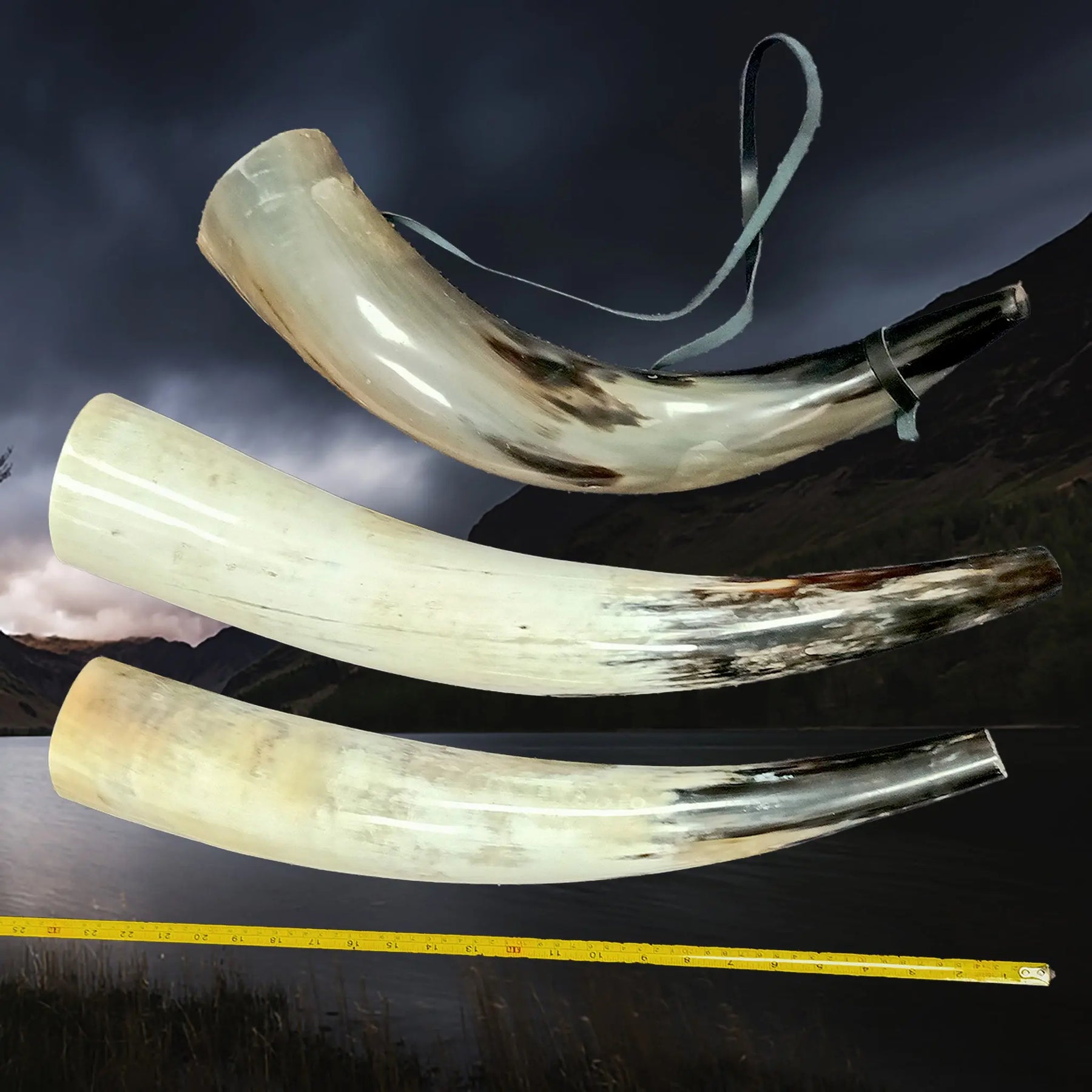 Large Viking Blowing Horn / Bugle Horn - Viking Accessories