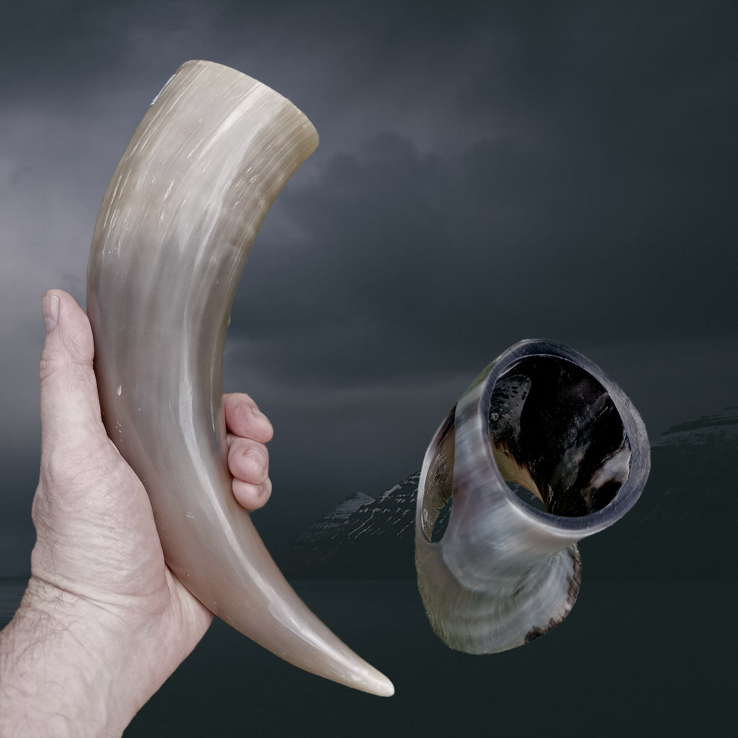 Ox Horn Small Polished Viking Drinking Horn With Horn Stand