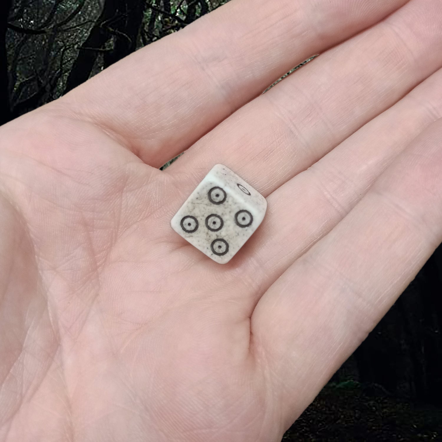 Large Bone Dice With Dot & Rings Marks for Viking Dice Games