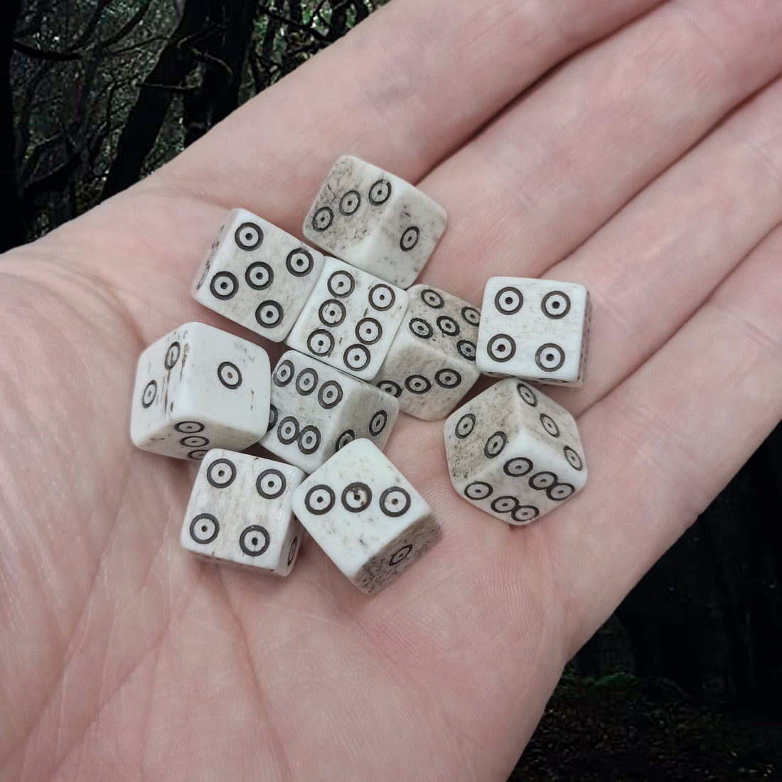 Medium Bone Dice With Dot and Rings Marks for Viking Dice Games