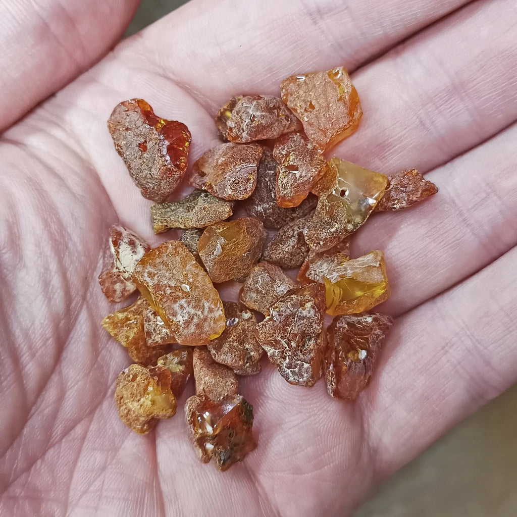Amber Chips with Drilled Holes for Making Viking Jewelry