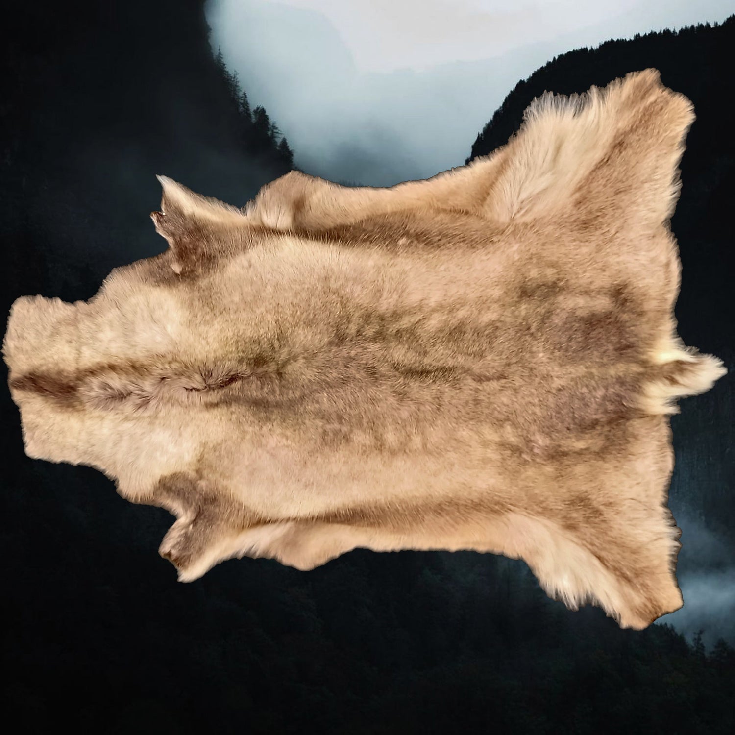 Full Reindeer Hide from Lappland - Viking Accessories
