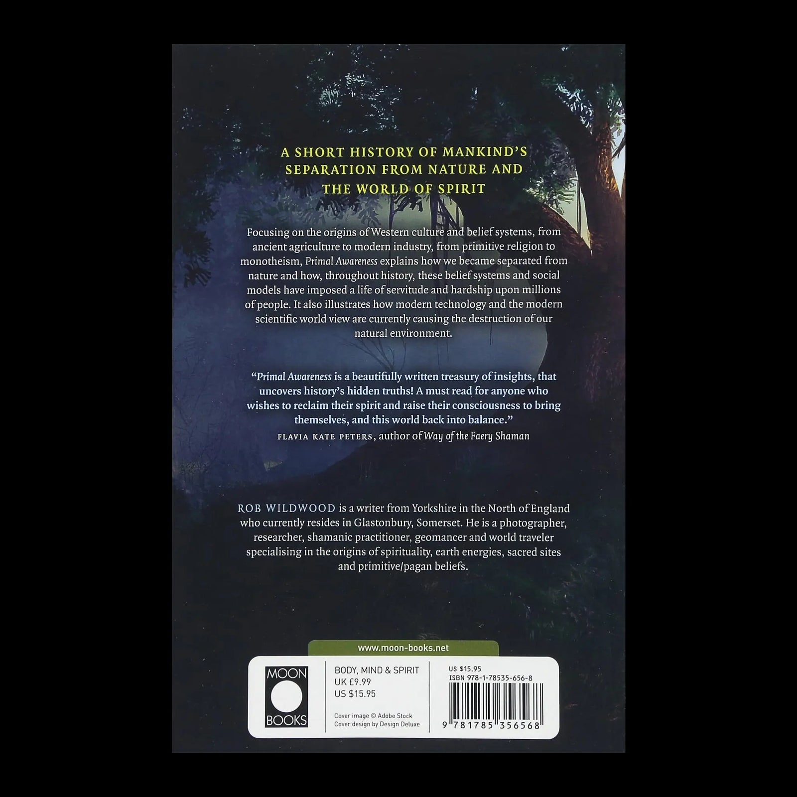 Primal Awareness Book by Rob Wildwood - The Viking Dragon
