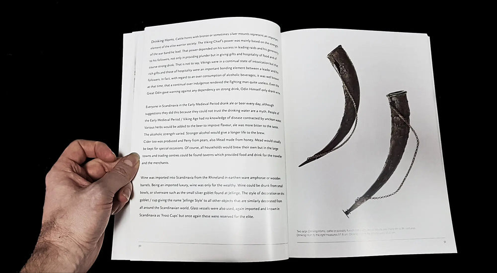 Vikings - Swords Dripping Gold Silver Blood - Book - by Tai Larson